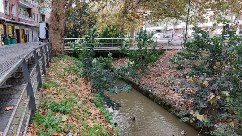 Río Gobela: ¿Destino turístico o reserva ecológica?